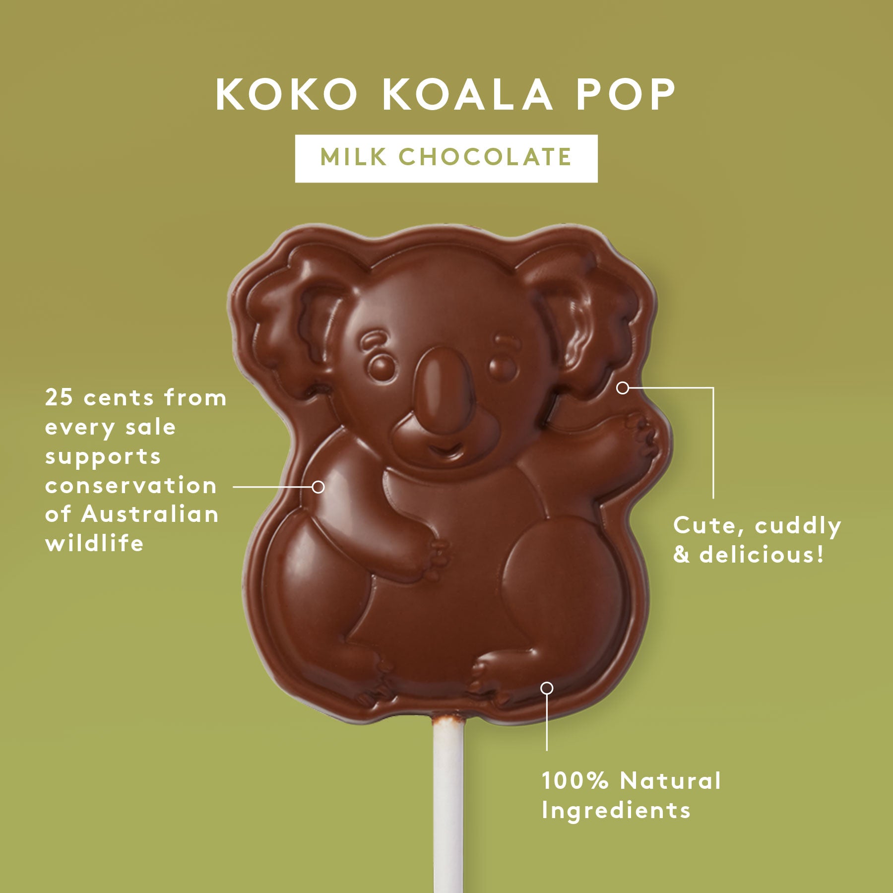 Koko Koala Pop | Milk Chocolate – Koko Black Chocolate